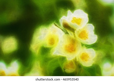 Flower Colors Compositional Elements Used Better Stock Illustration ...