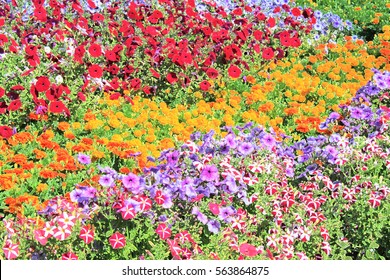 Flower Glade Design Simulation Focus On Stock Illustration 563864875 ...