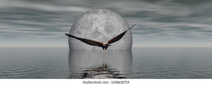 Flying Eagle Brown Beautiful Full Moon Stock Illustration 1558620719 ...
