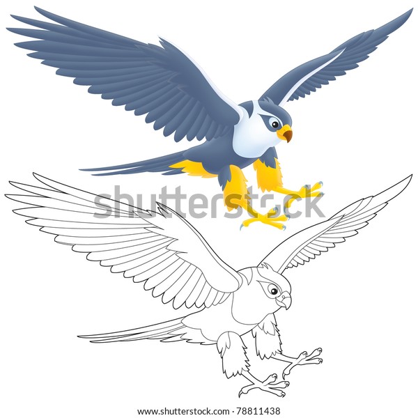 Flying Falcon Stock Illustration 78811438