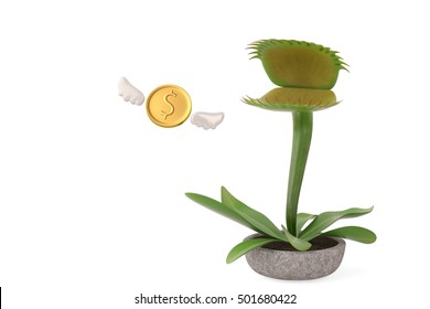 1,063 Venus Fly Trap In A Pot Images, Stock Photos & Vectors | Shutterstock