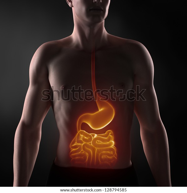 Focused On Man Digestive System Stock Illustration 128794585