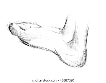Foot Stock Illustration 48887020 | Shutterstock