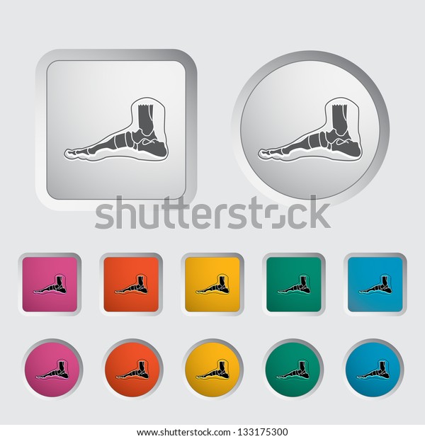 Foot Anatomy Icon Vector Version Available Stock Illustration 133175300 ...