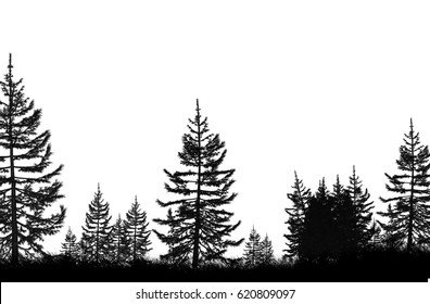 Seamless Horizontal Summer Forest Pine Fir Stock Vector (Royalty Free ...