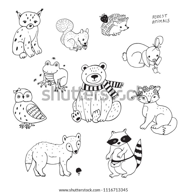 Forest Animals Doodle Illustrations Set Stock Illustration 1116713345 ...