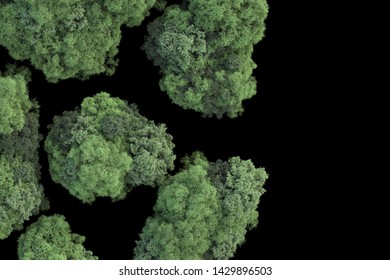 Forest Image Above 3d Rendering Stock Illustration 1429896503 ...
