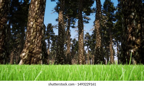 Forest Landscape 3d Realistic 3d Render Stock Illustration 1493229161 ...