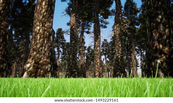 Forest Landscape 3d Realistic 3d Render Stock Illustration 1493229161 ...