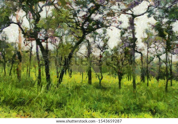 Forest Landscape Illustrations Creates Impressionist Style Stock ...
