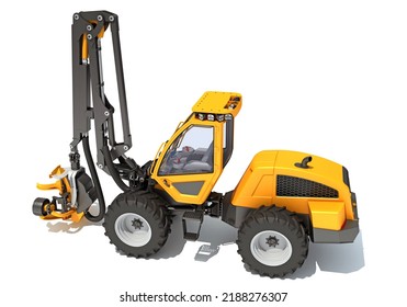 552 Knuckle Trees Images, Stock Photos & Vectors | Shutterstock