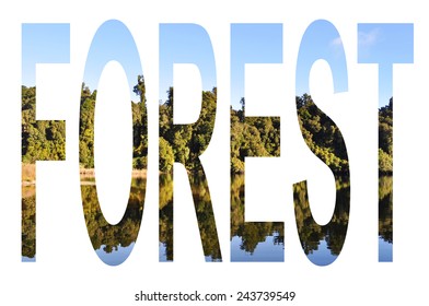 Forest Word Green Rainforest Background 스톡 일러스트 242517049 | Shutterstock