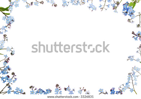 Forgetmenot Flower Border Your Design Stock Illustration 3326831