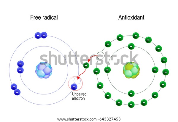 Free Radical Antioxidant Structure Atom Antioxidant Stock Illustration ...