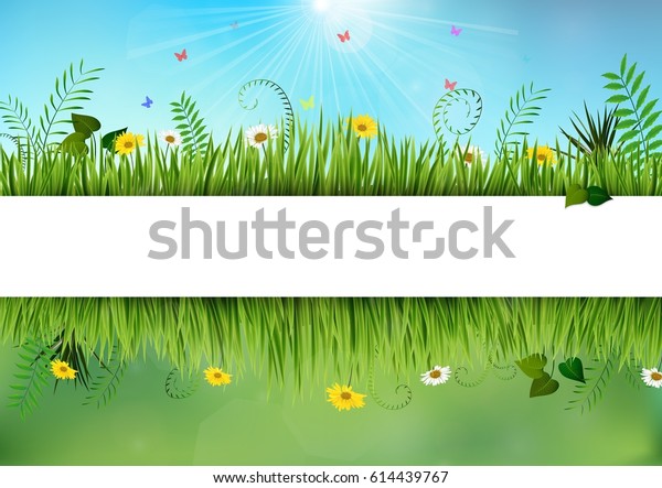 Fresh Spring Daisy Borders Stock Illustration 614439767 | Shutterstock