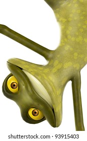 Frog Cartoon Side Down Pose Stock Illustration 93915403