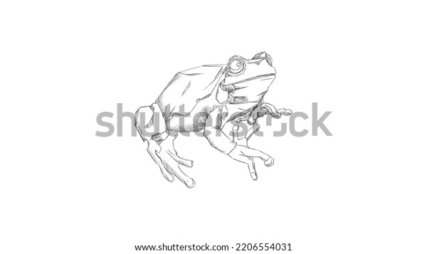 Frog Scribble Frog Line Art Frog Stock Illustration 2206554031 ...