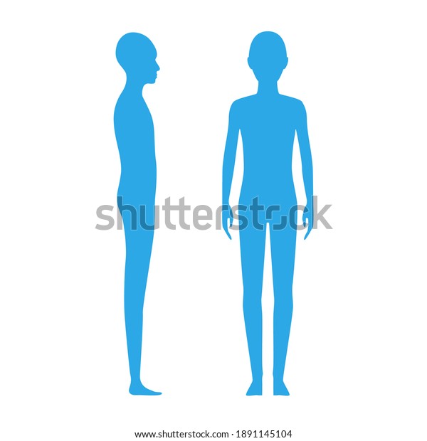 Front Side View Human Body Silhouette Stock Illustration 1891145104 ...