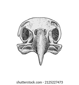 1,782 Eagle skeleton Images, Stock Photos & Vectors | Shutterstock
