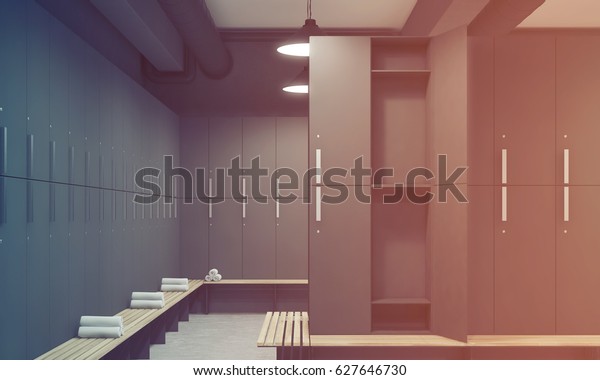 Front View Gray Locker Room Benches Stock Illustration 627646730