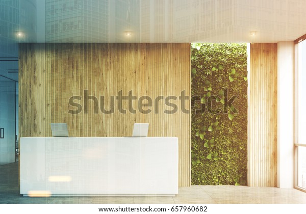 Front View White Reception Desk Two Stock Illustration 657960682 ...