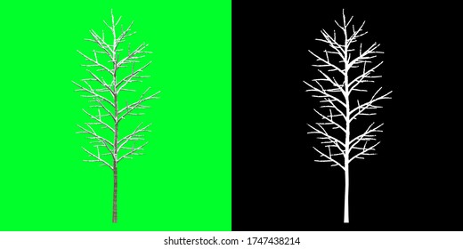 Front View Winter Tree 3d Render Stock Illustration 1747438214 ...