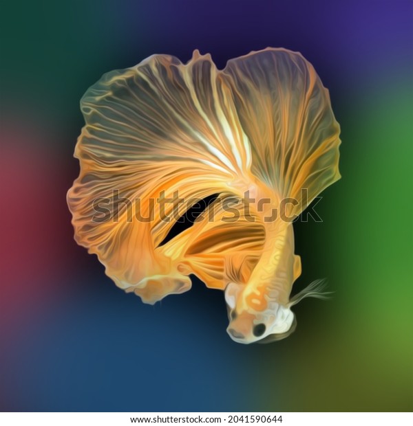 Full Gold Half Moon Betta Fish Stock Illustration 2041590644