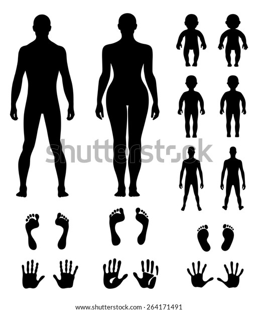 Full length front, back human silhouette illustration, isolated on white