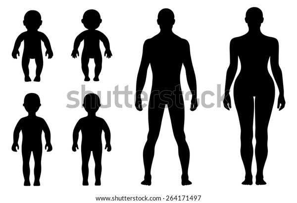 Full Length Front Back Human Silhouette : illustration de stock ...
