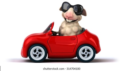 535 Sheep driving car Images, Stock Photos & Vectors | Shutterstock