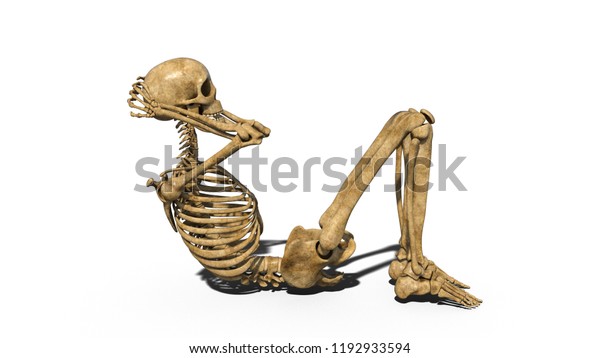 Funny Skeleton Doing Curl Ups Human Stock Illustration 1192933594 ...