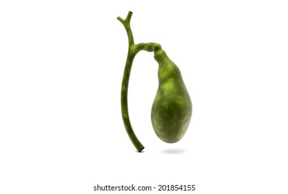 Gallbladder Isolated On White Background Stock Illustration 201854125 ...