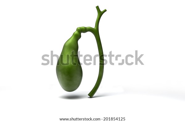Gallbladder Isolated On White Background Stock Illustration 201854125 ...