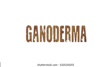 Ganoderma logo Images, Stock Photos & Vectors | Shutterstock