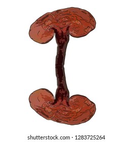 Ganoderma logo Images, Stock Photos & Vectors | Shutterstock