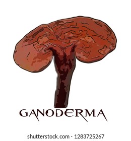 Ganoderma logo Images, Stock Photos & Vectors | Shutterstock