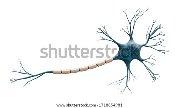 Generic Blue Neuron Cell Model Isolated Stok İllüstrasyon 1718854981