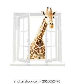 972 Giraffe Window Images, Stock Photos & Vectors | Shutterstock