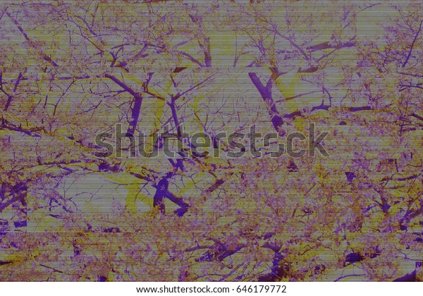 Glitch Image Cherry Blossom Tree Stock Illustration 646179772 ...