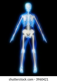 Glowing Skeleton Stock Illustration 3960421 | Shutterstock