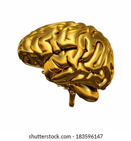 Gold Brain Isolated 2 Stock Illustration 183596147 | Shutterstock