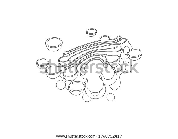 Golgi Complex On White Background Stock Illustration 1960952419 ...