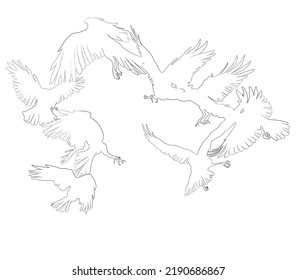 1,040 Crow Border Images, Stock Photos & Vectors | Shutterstock