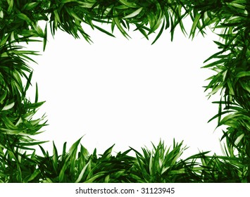 Grass Border Place Text Inside Stock Illustration 31123945 | Shutterstock
