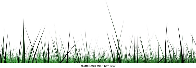Grass Border Wide Screen Stock Illustration 12742069 | Shutterstock