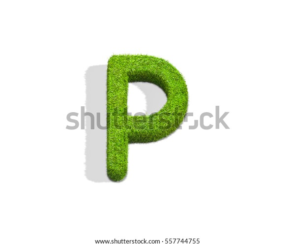 Grass Letter P Uppercase Format Top Stock Illustration 557744755 ...