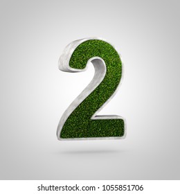 Grass Number 2 3d Render Flowerbed Stock Illustration 1055851706 ...