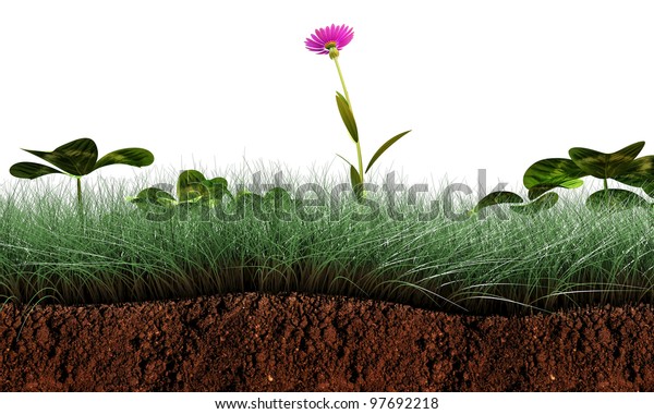 Grass Section Isolated On White Background Stock Illustration 97692218 ...