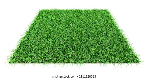 Grass Shape Design Element Isolated 3d Stock Illustration 2111828363 ...