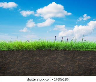 Photo de stock Sol et herbe verte dans le 151776113 | Shutterstock
